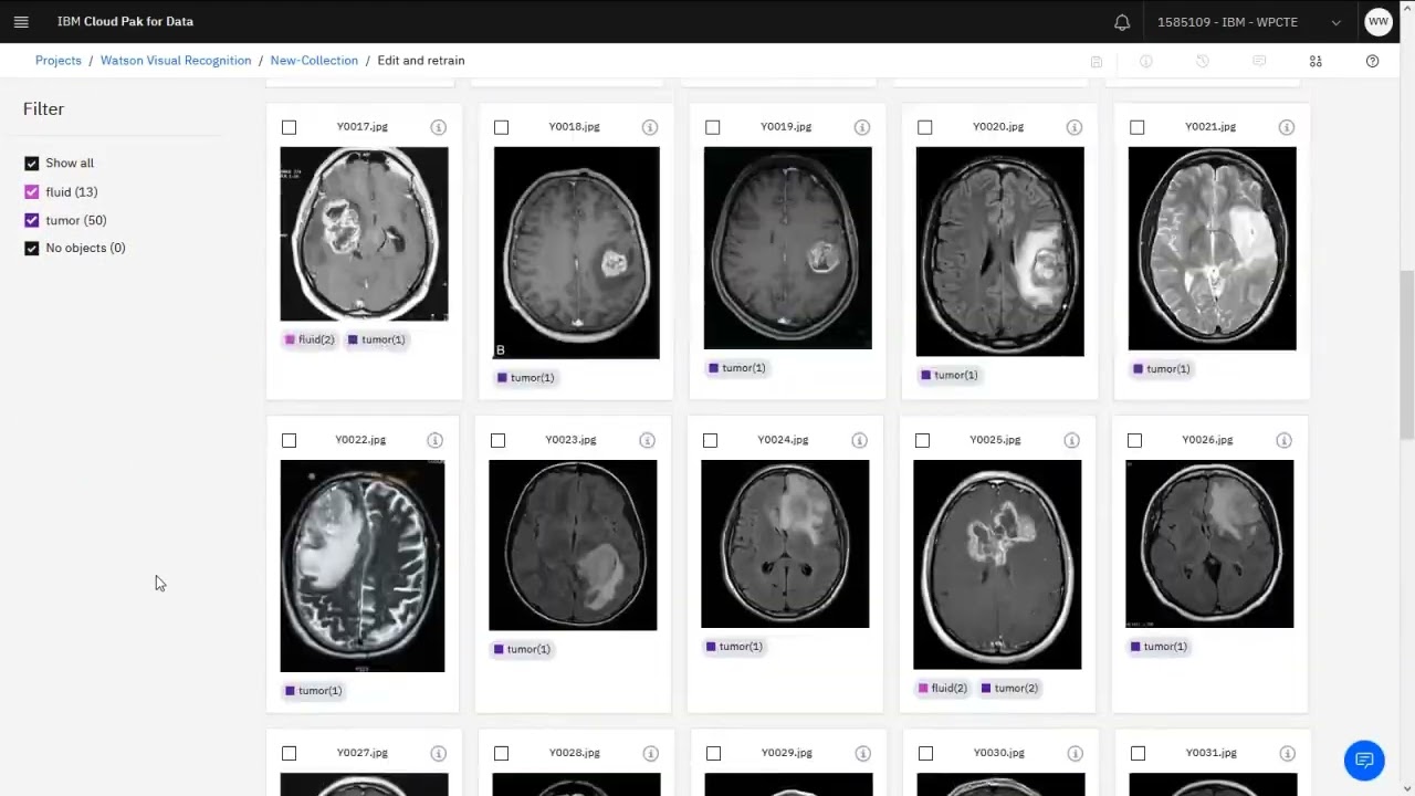 Train and test an object detection visual recognition model