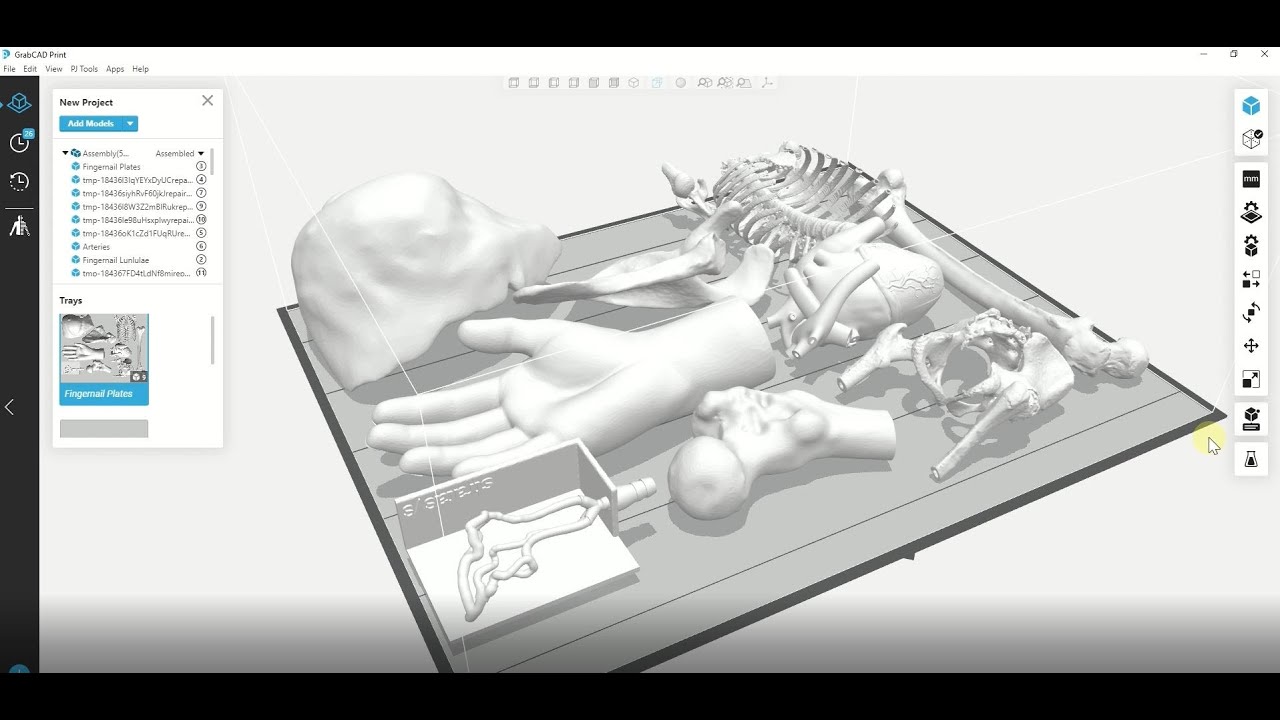 Stratasys Academy | J850 Digital Anatomy 3D Printer: Settings Overview