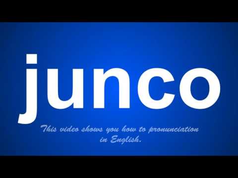the correct pronunciation of junta in English.