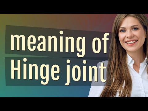 Hinge joint | meaning of Hinge joint