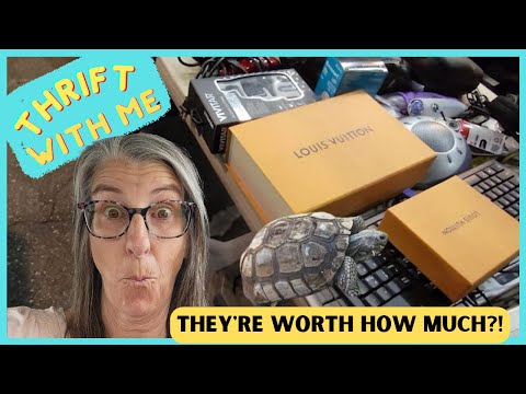 I Can't Believe How Much It's Worth - Thrift With Me at the Swap Meet PLUS Bonus Tortoises