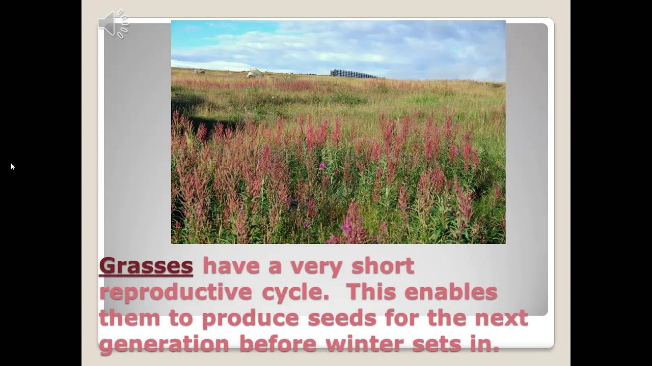 02 Biomes AUDIO ppt notes Part 1