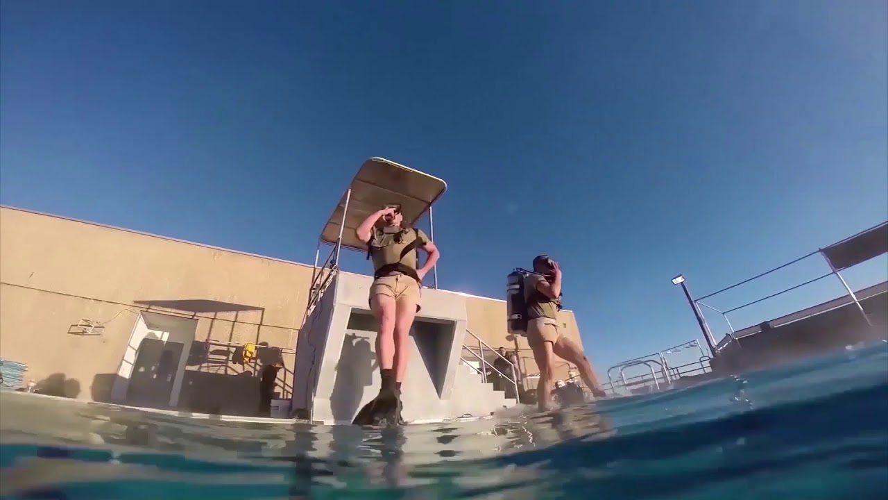 Videos of The Day - November 18th, 2017