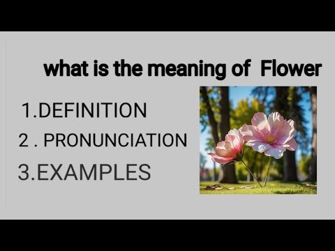Definition of flower || what is the meaning of the flower || Flower meaning in English