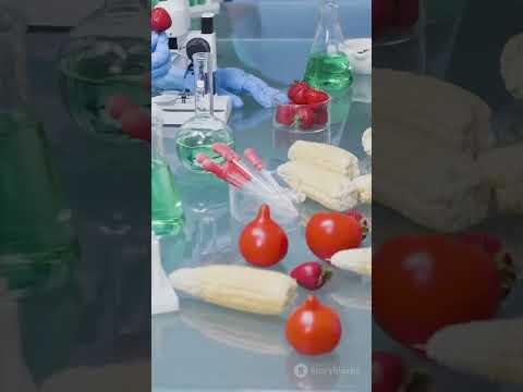 ABLE Tech: Transforming Industries Beyond Healthcare