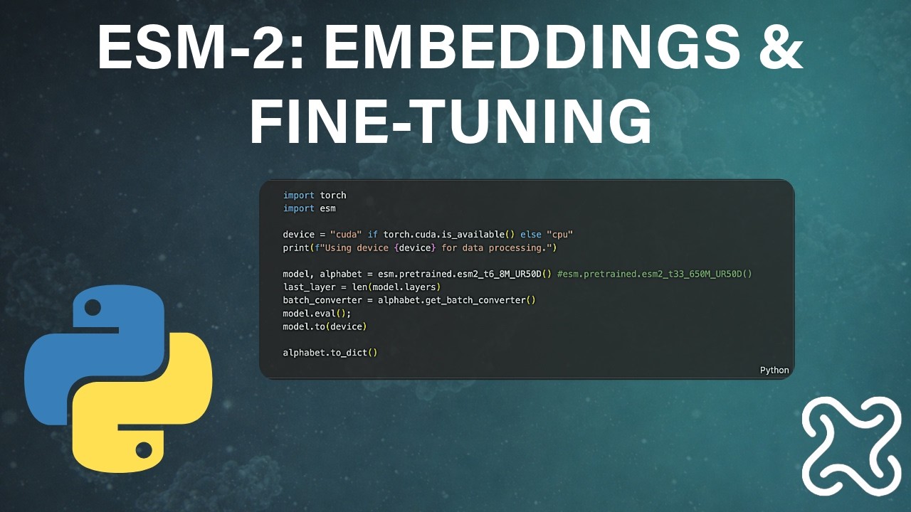 Using ESM-2 in Python: Protein Embeddings & Fine-Tuning