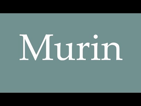 How to Pronounce ''Murin'' (Murine) Correctly in French