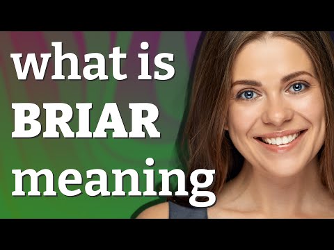 Briar | meaning of Briar