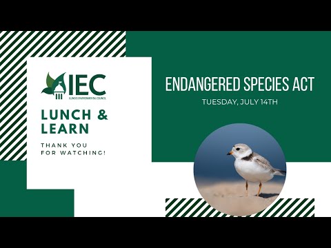 Endangered Species Act Lunch & Learn