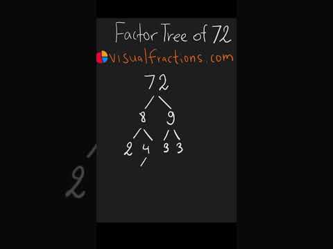 Factors of 72: Prime Factorization using a Factor Tree #mathshorts #mathtricks #math #factors