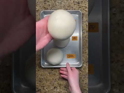 all purpose vs bread vs cake flour