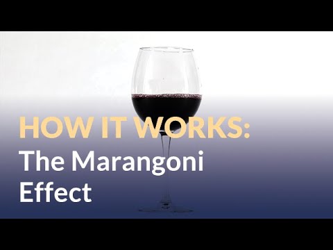 Marangoni Effect: Tears of Wine (and Rum)