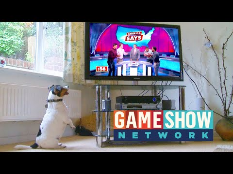 Even Dogs Love Game Shows! | Game Show Network
