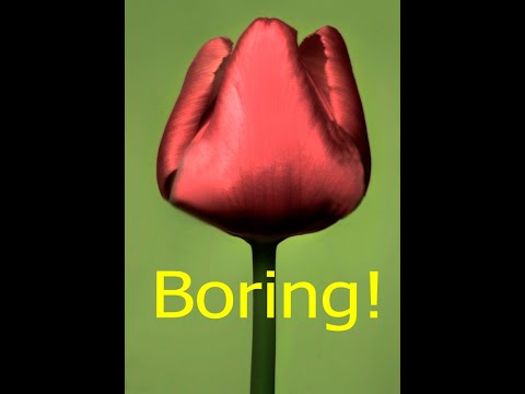Are Your Macro Flower Photography Compositions Boring, Lets Fix It.