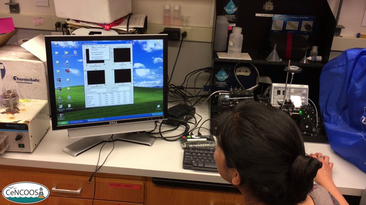 The Imaging Flow Cytobot