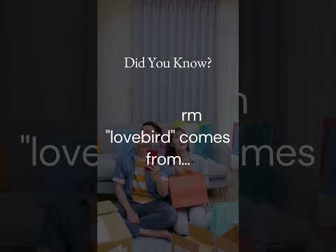 The Origin of the Term 'Lovebird' Explained #attraction #relationship #yourlife #psychologyfacts