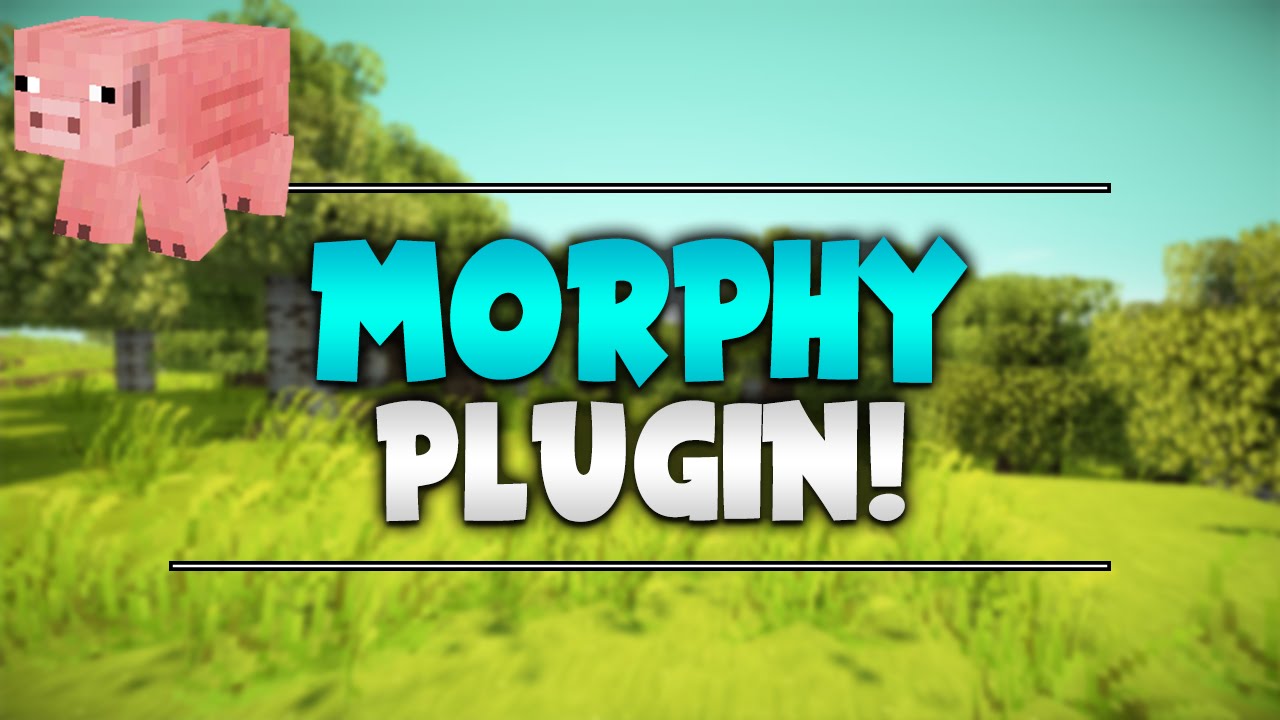 MORPHY! | Minecraft Plugin Tutorial