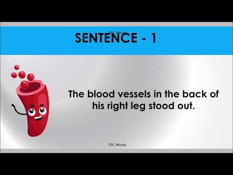 STAND OUT Idiom 305 # Meaning and five sentences # SSC Words