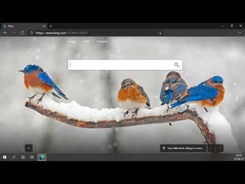 Let's Learn about Bluebirds on Bing