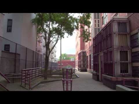 P.S. 4 Duke Ellington
