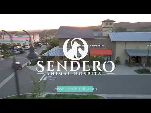 Sendero Animal Hospital Commercial