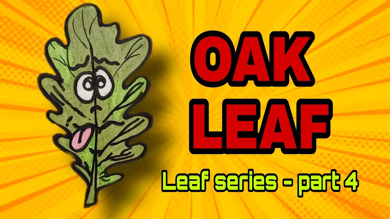 Oak leaf drawing | oak leaf