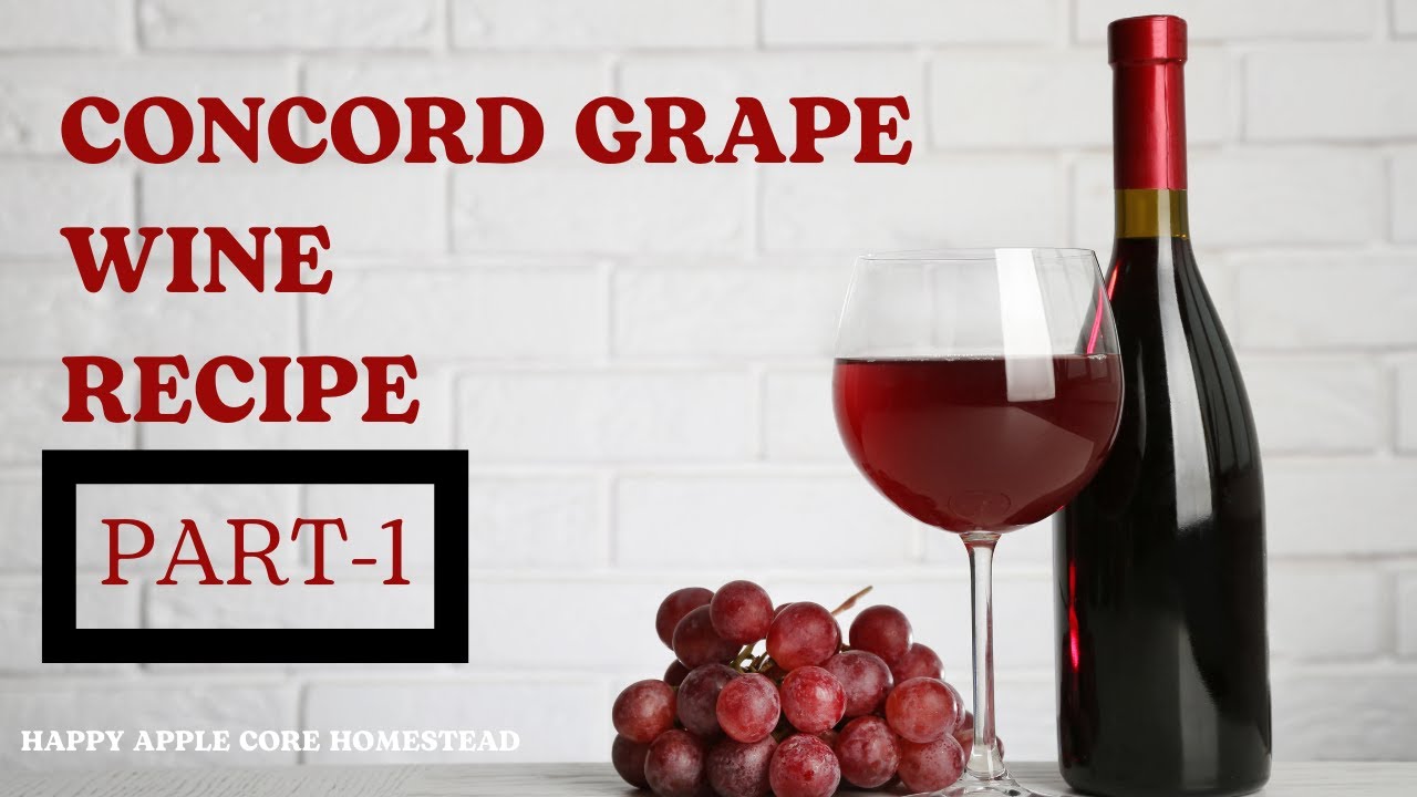 Concord Grape Wine Recipe - Part 1