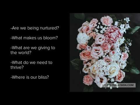 Interpreting Flower Meanings