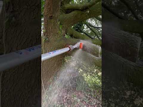 STIHL HTA 135 CHAINSAW #SHORTS