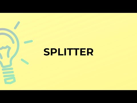 What is the meaning of the word SPLITTER?