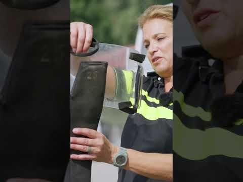 What gear do police horses have and wear?