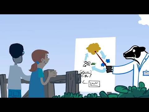 Cows and Methane