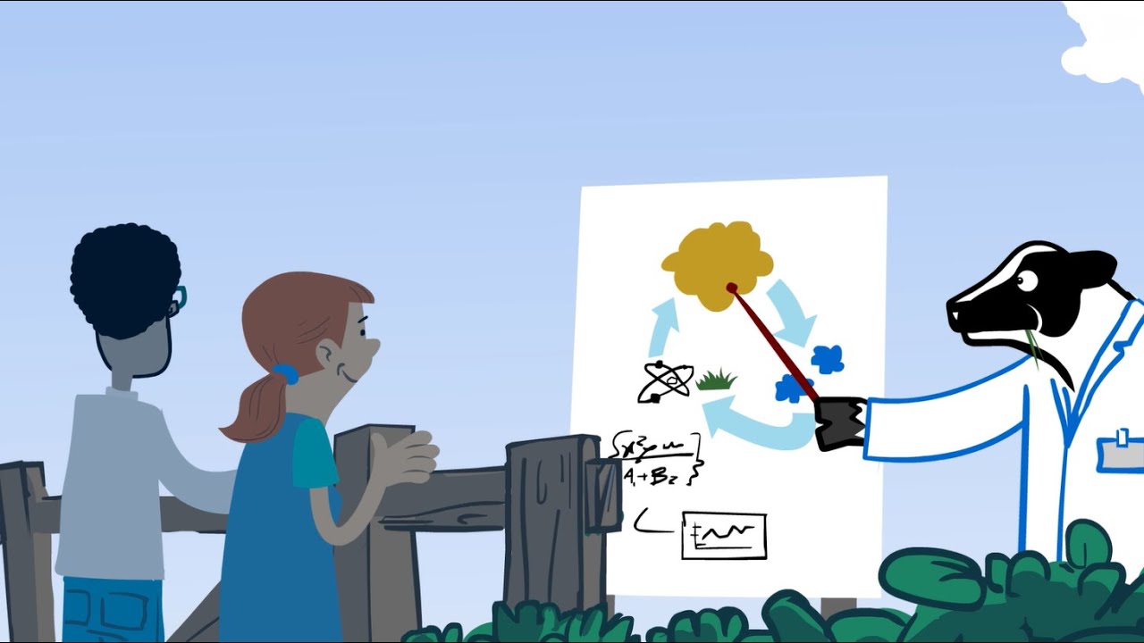 Cows and Methane