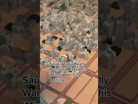 The Line project Saudi Arabia #shorts