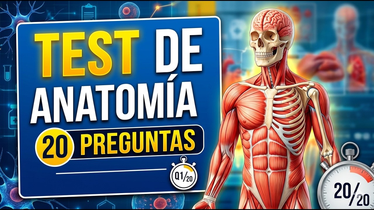 Test de anatomía: 20 Preguntas para evaluar tus conocimientos