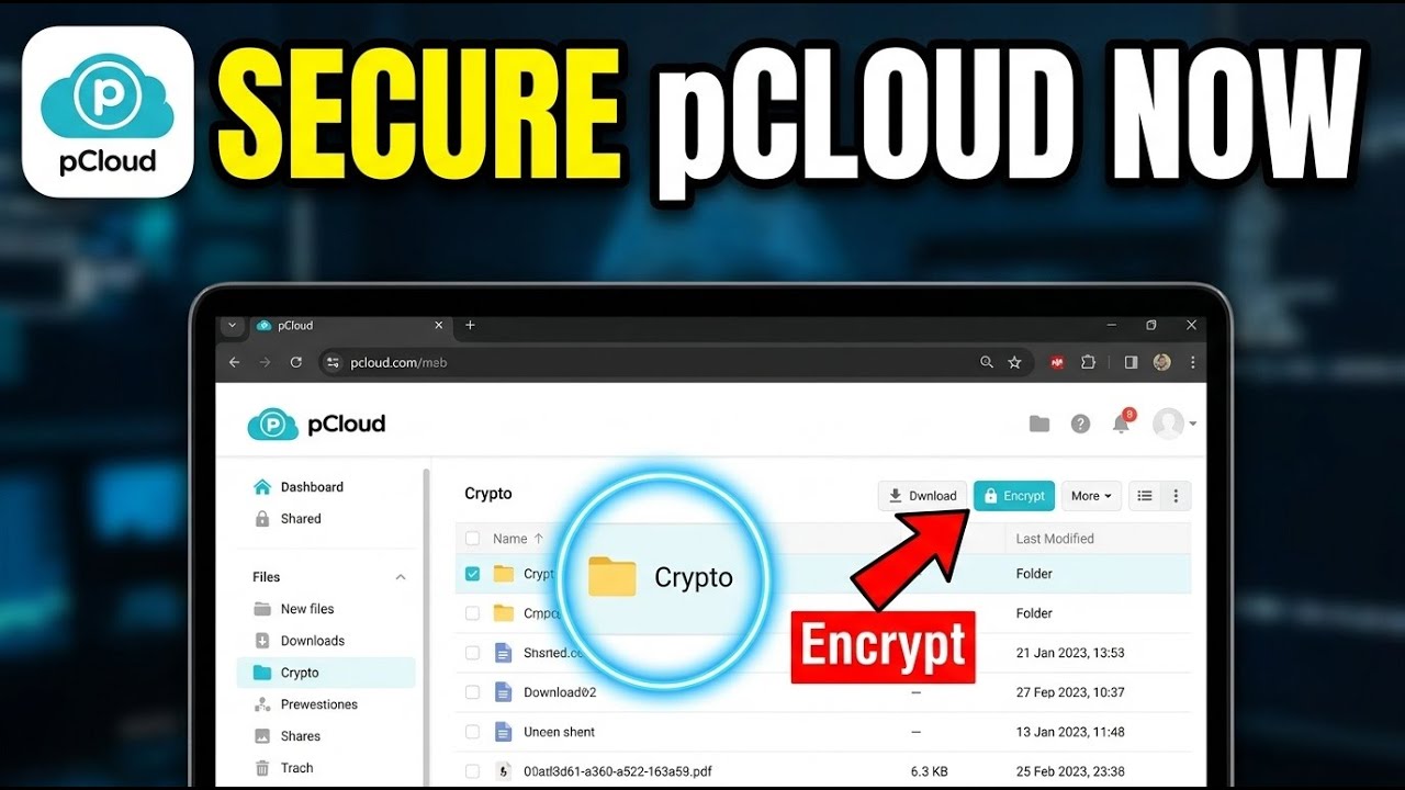 How to Secure Your Cloud Storage with pCloud - Full Guide
