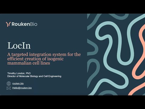 Introducing LocIn: RoukenBio's new targeted integration system for the efficient creation of...