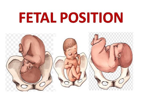 FETAL POSITION