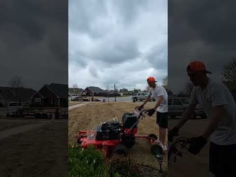 Dethatching - How To & Why It's Important!