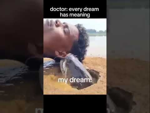 "Every Dream Has a Meaning" #fypシ゚ #fyp #fish #fishtalk #funny #memes #ifyoucandreamityoucandoit a
