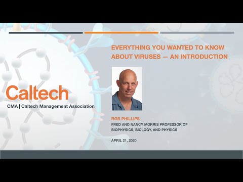 Everything You Wanted to Know About Viruses - R. Phillips - 4/21/2020
