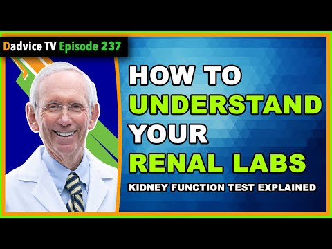 Kidney Function Test - How to understand your renal labs