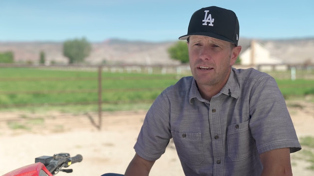 Irrigation System, Surface