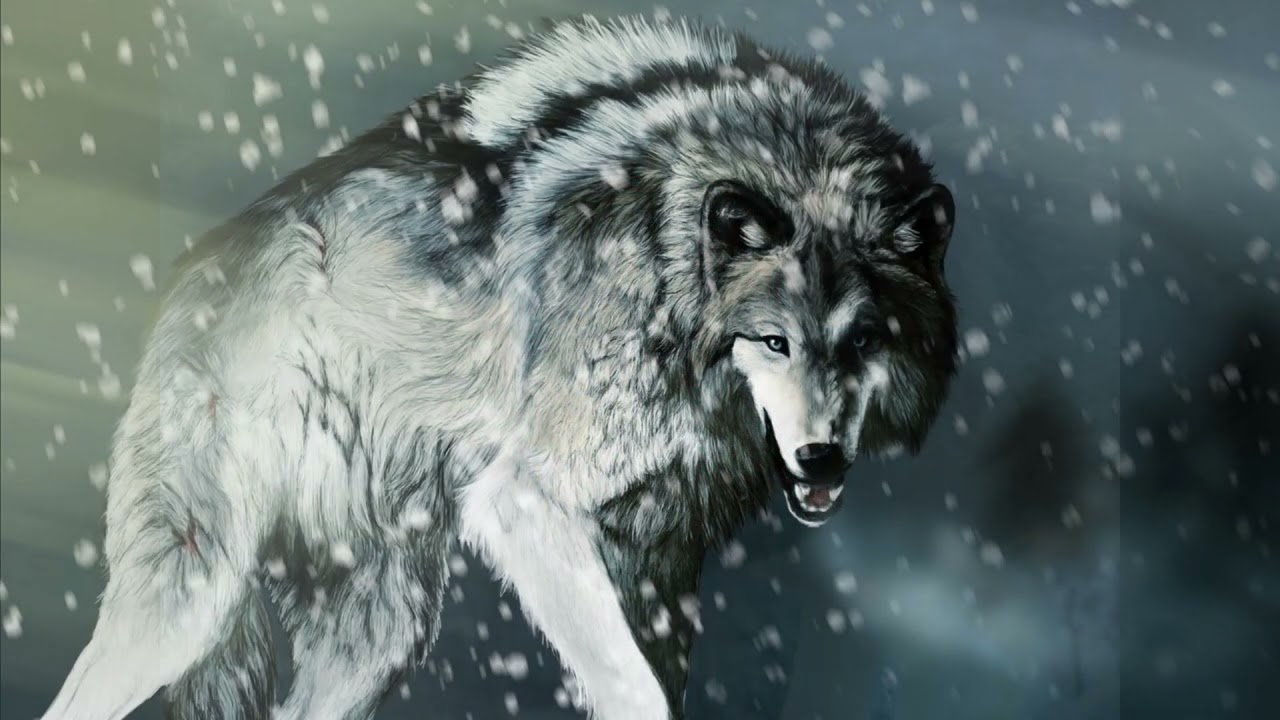 100+ Mesmerizing wolf wallpaper ideas   Clear Wallpaper
