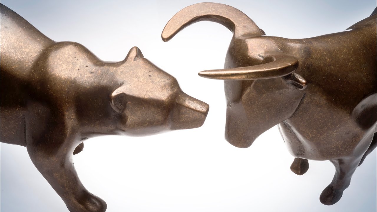 Bull market vs. Bear market: Yahoo U explains the difference