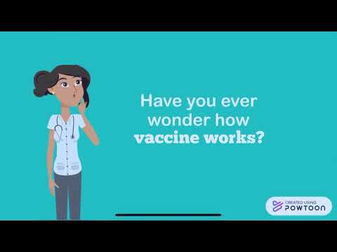 How Do Vaccines Stimulate the Production of Protective “Memory” B Cells?
