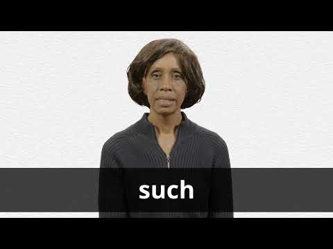 SUCH definition and meaning | Collins English Dictionary