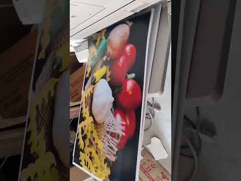 Digital Copiers - Xerox Altalink C8045 Trader - Retailer from Hyderabad