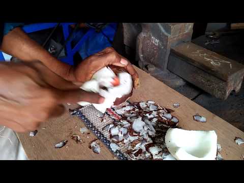 of New Tech Industries, Baikampady, Mangalore