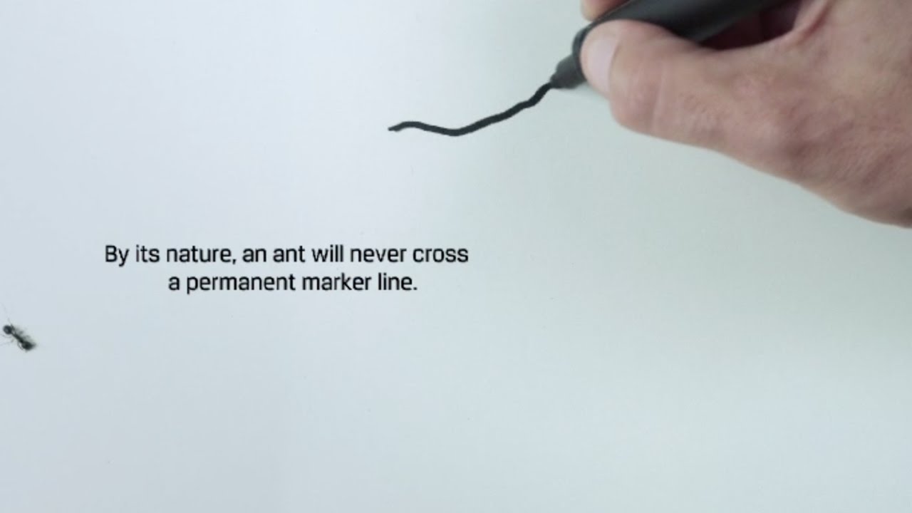 Stop drawing borders